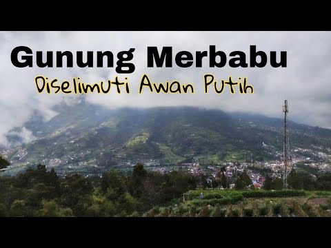 Gunung Merbabu Terkini Di Selimuti Awan Putih || New Selo Magelang ...