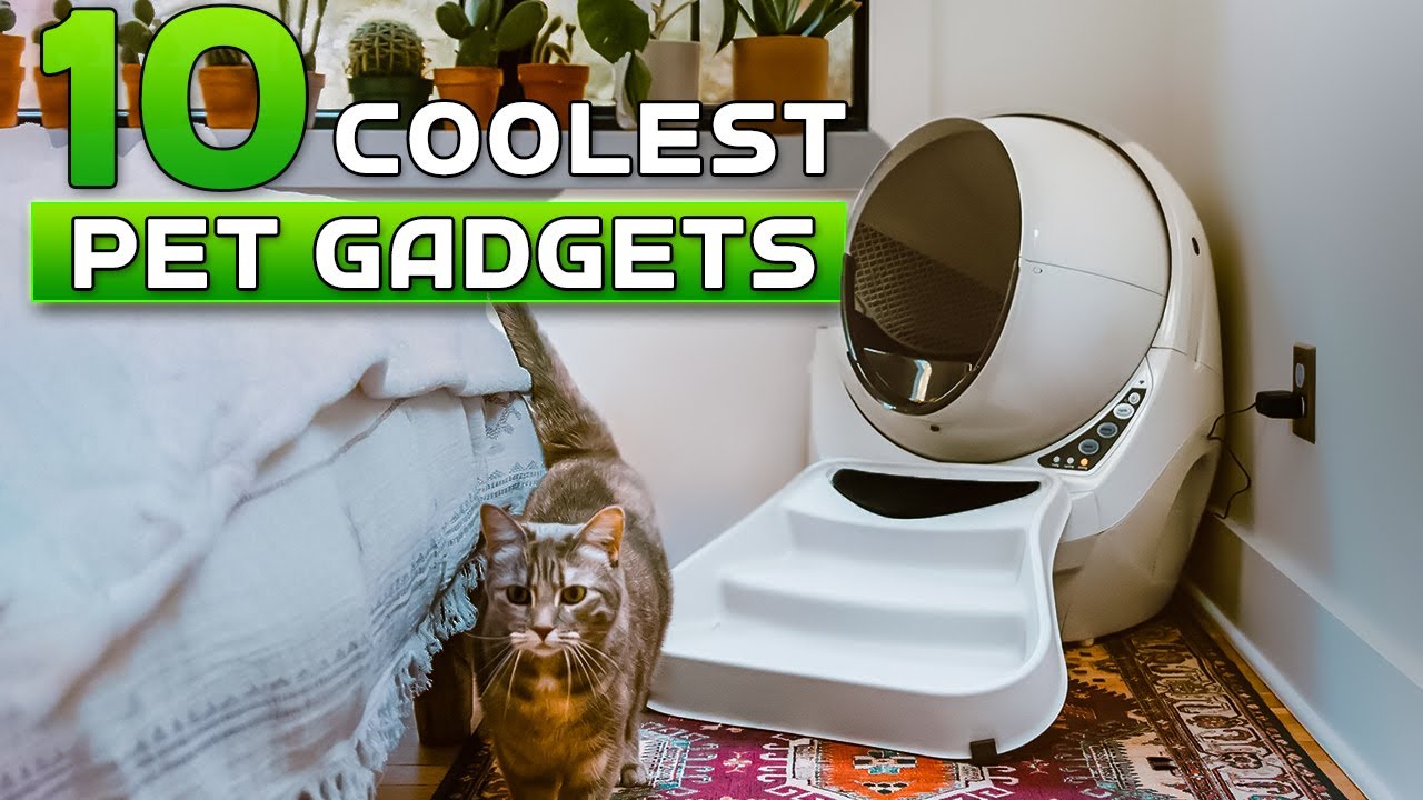 10 Coolest Pet Gadgets That Are Actually Worth It - YouTube