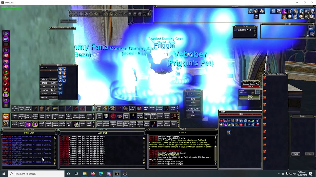 Everquest: Basic Shaman play - YouTube