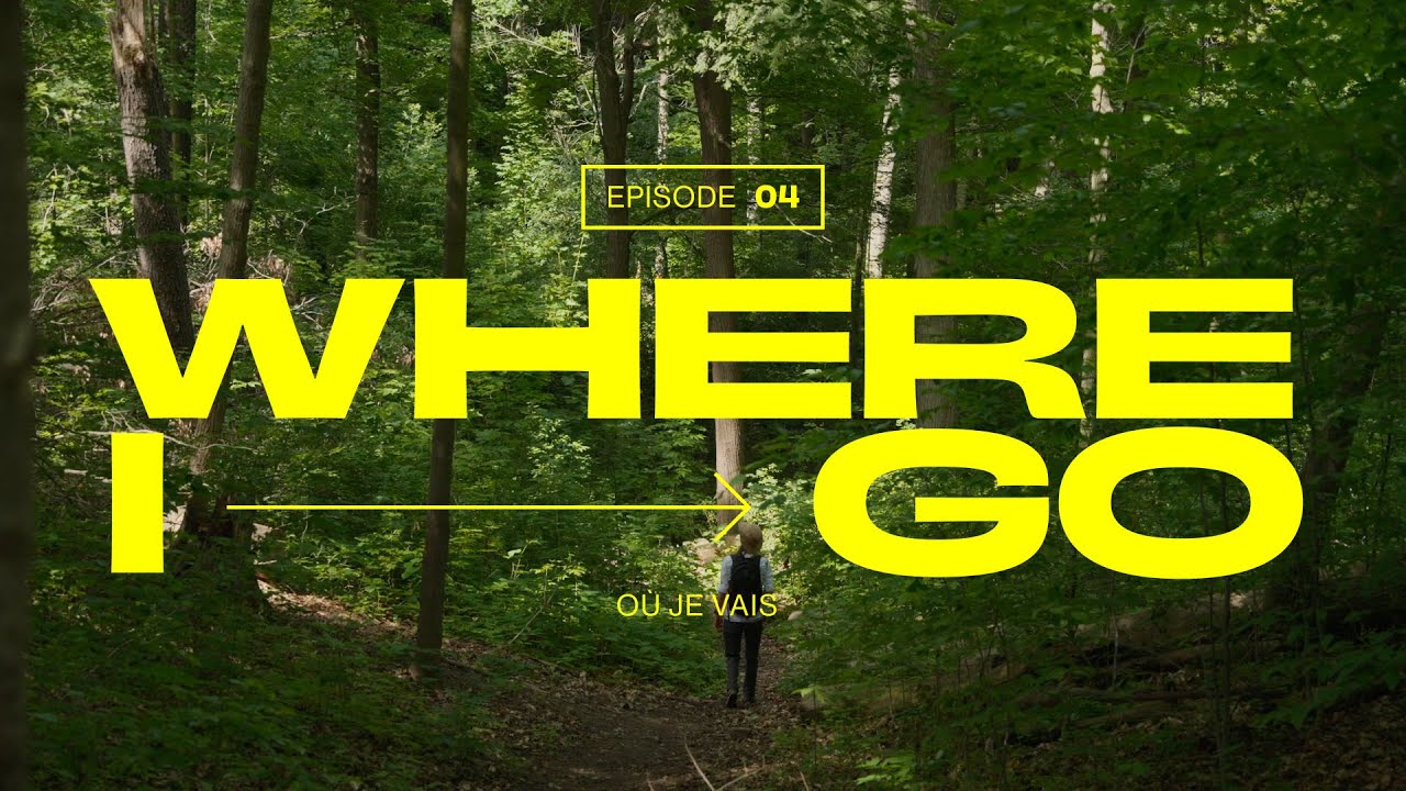 Ellen – Watching birds in the Chilligo Conservation Area | WHERE I GO ...