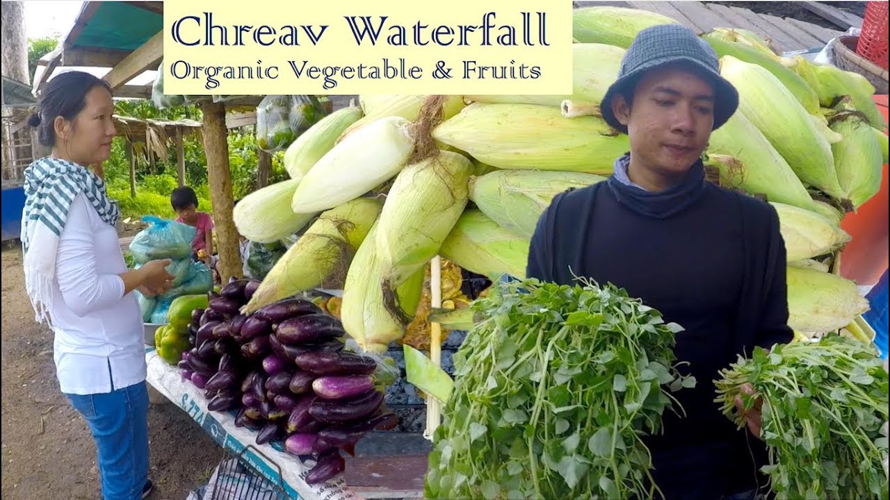 Cambodia Adventure Group to Chreav Waterfall Ecotourism Community - YouTube