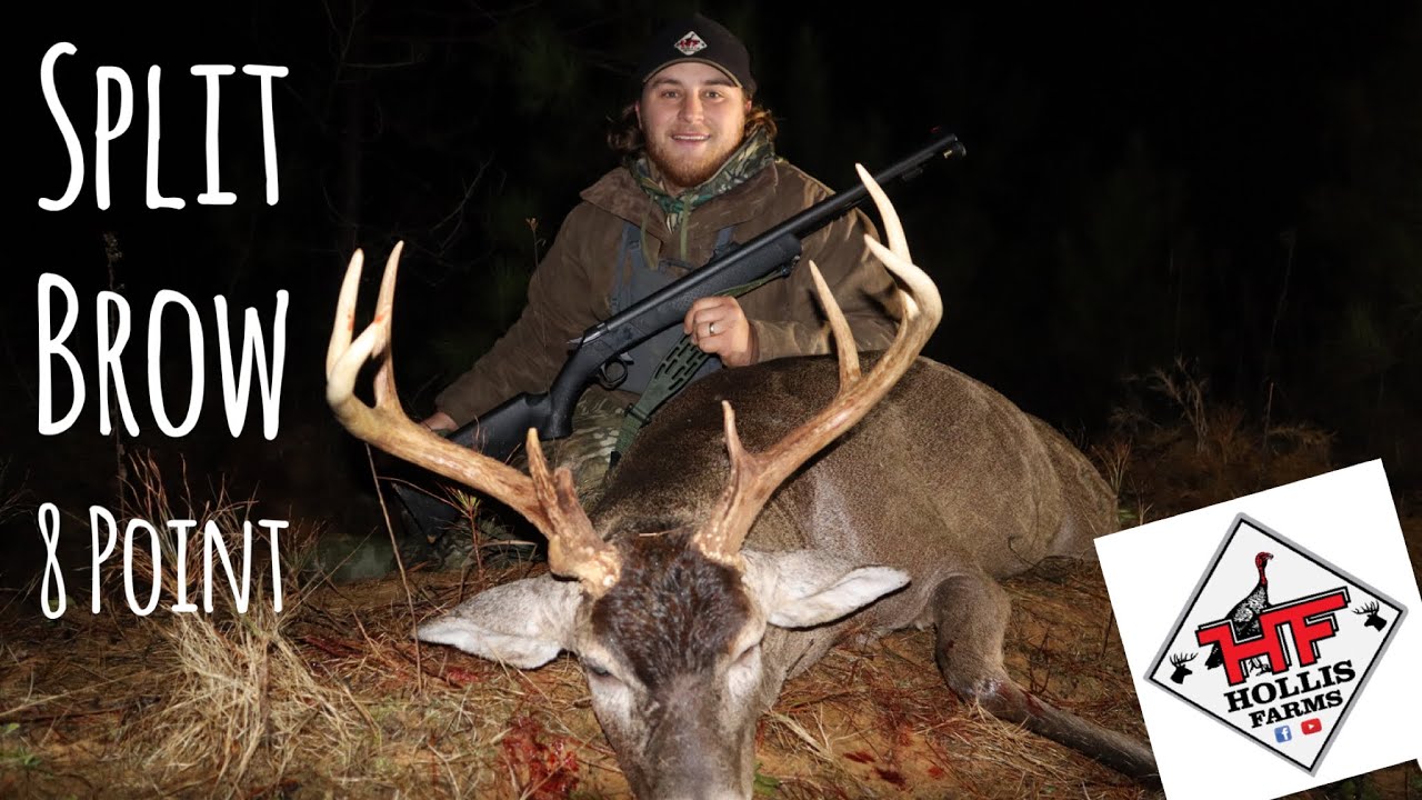 Split Brow 8 Point is Down at Hollis Farms - YouTube