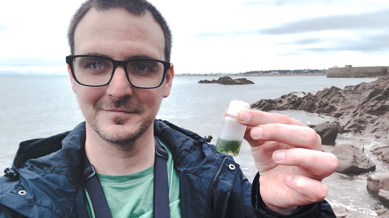 Rockpool Microscopy! 🔬 Worms, Plankton, and Tardigrades! - YouTube