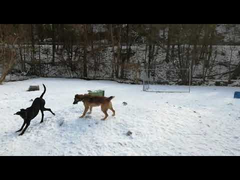 film nubi - YouTube