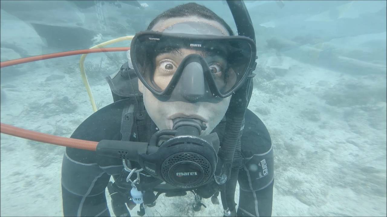 SCUBA Minion spends a day at the museum - YouTube