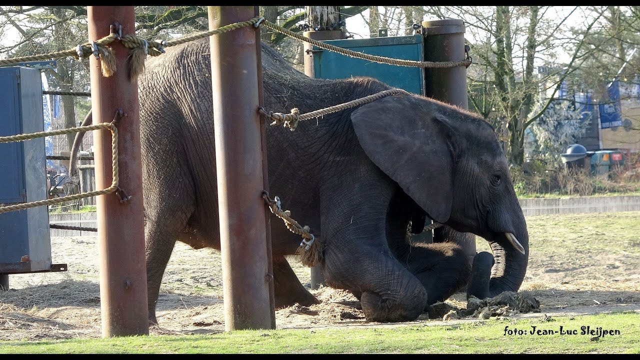 Madiba makes you smile - YouTube