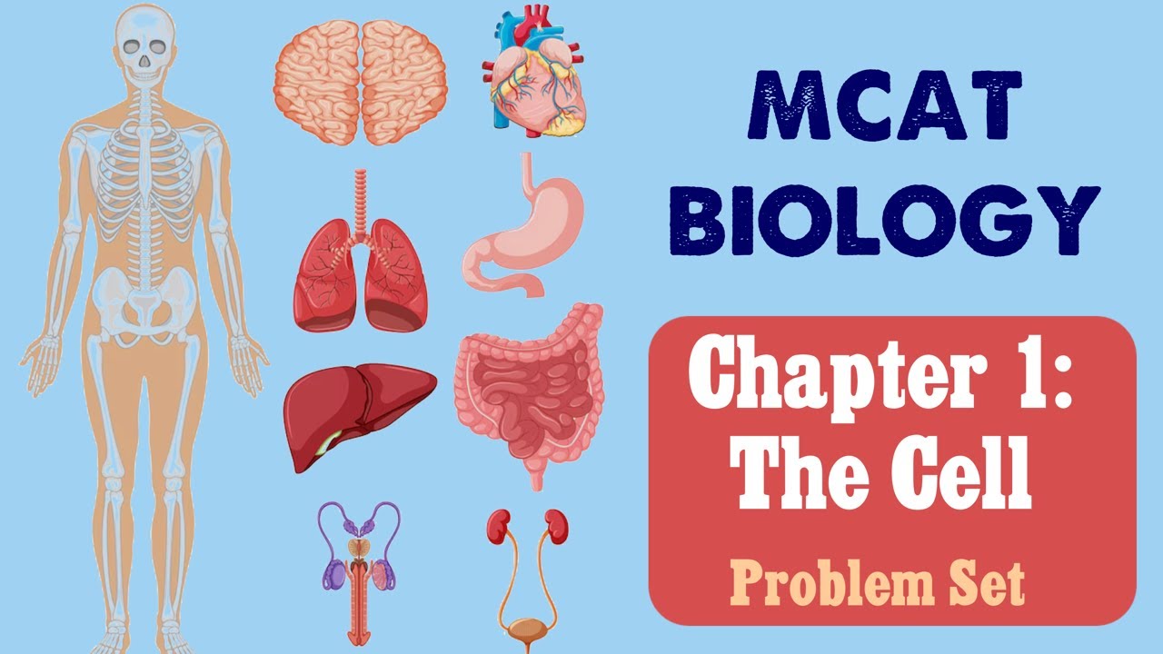 MCAT Biology: Chapter 1 - The Cell Problem Set - YouTube