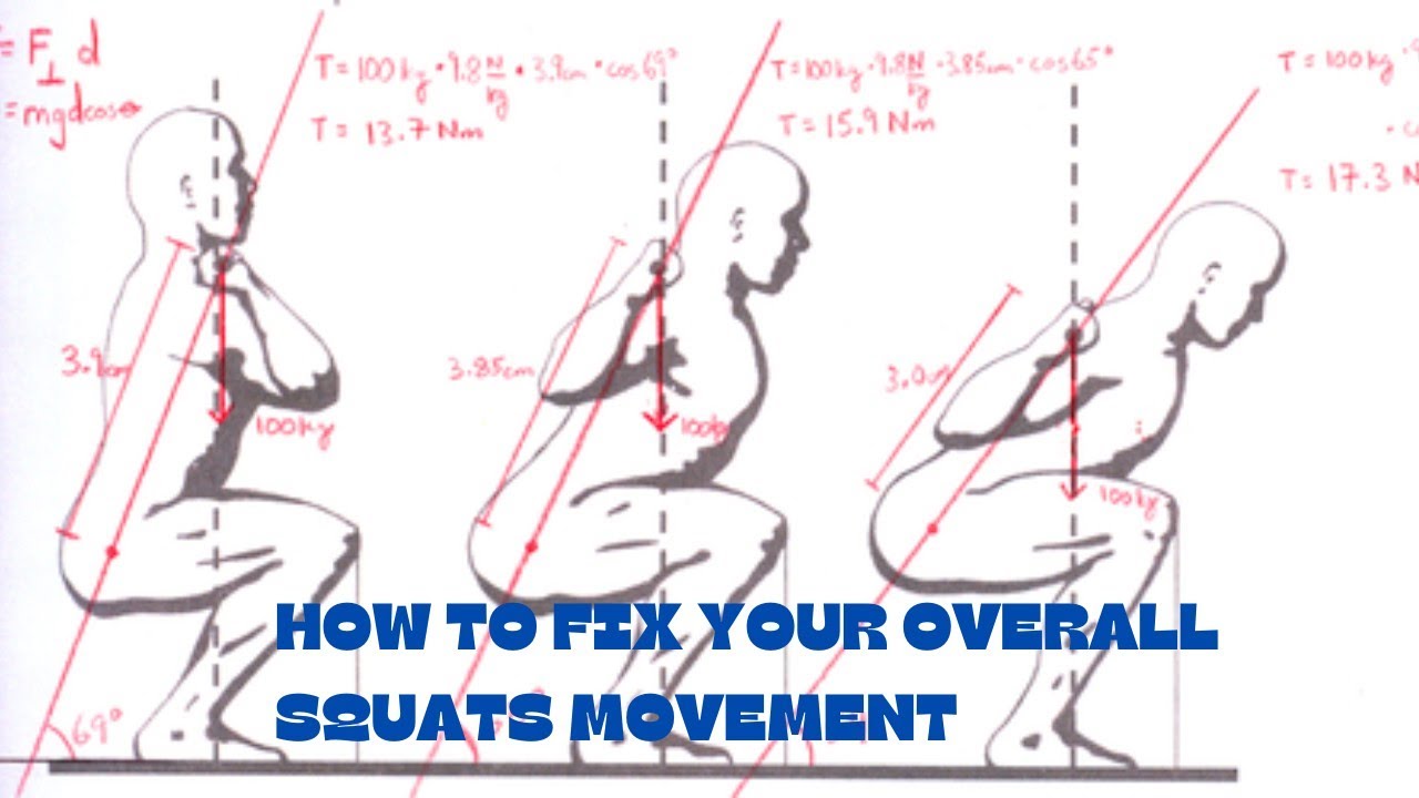 Squats Biomechanic : How to fix your overall squat movement : Are long ...