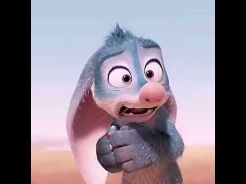 Mehr ko‘rgaz