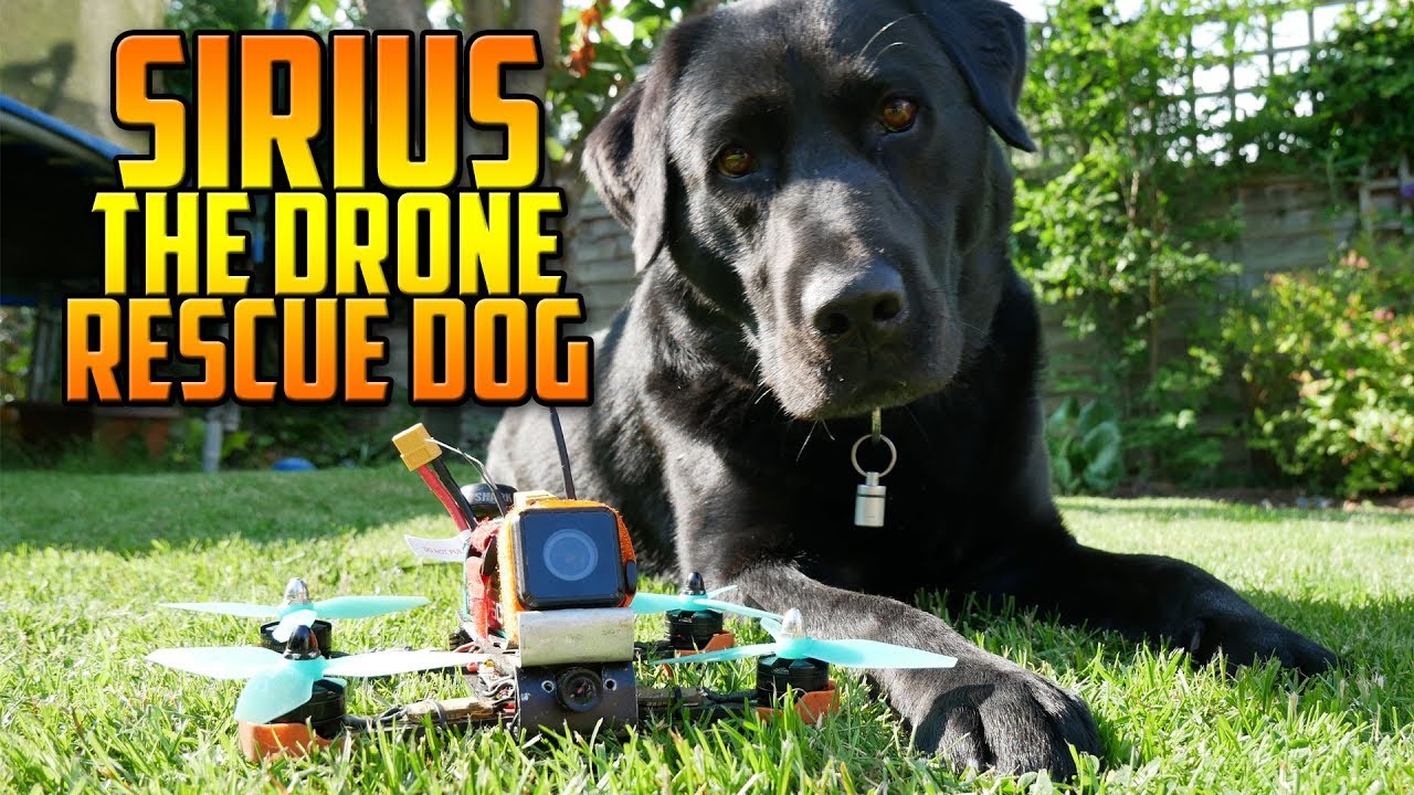 Sirius - The Drone Rescue Dog - YouTube