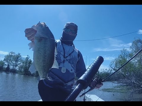 Reel Fishing S1 E2 (Bayou Black Bass Tournament out of Amelia) - YouTube