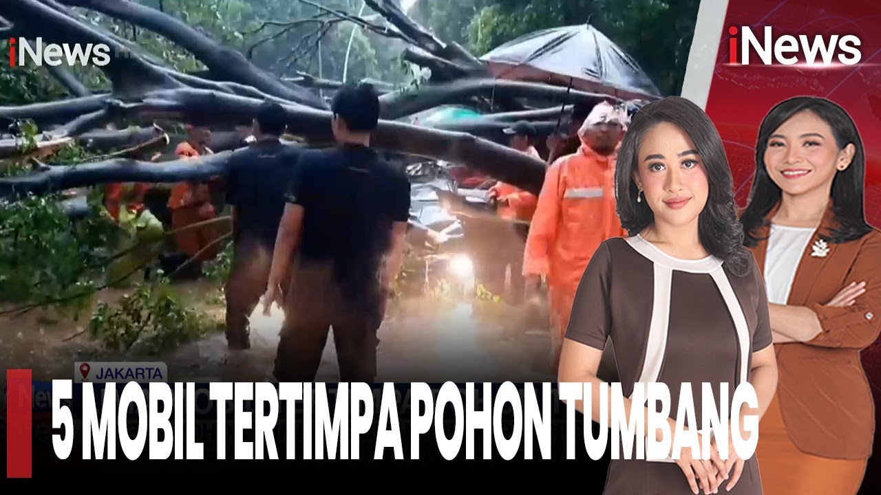 5 Mobil Tertimpa Pohon Tumbang, Pemprov Jakarta Tanggung Biaya Korban ...
