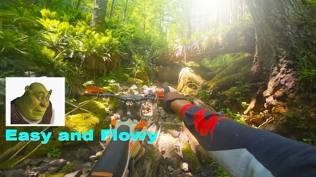 The Most easy and flow trial in the Pacific North West? - YouTube