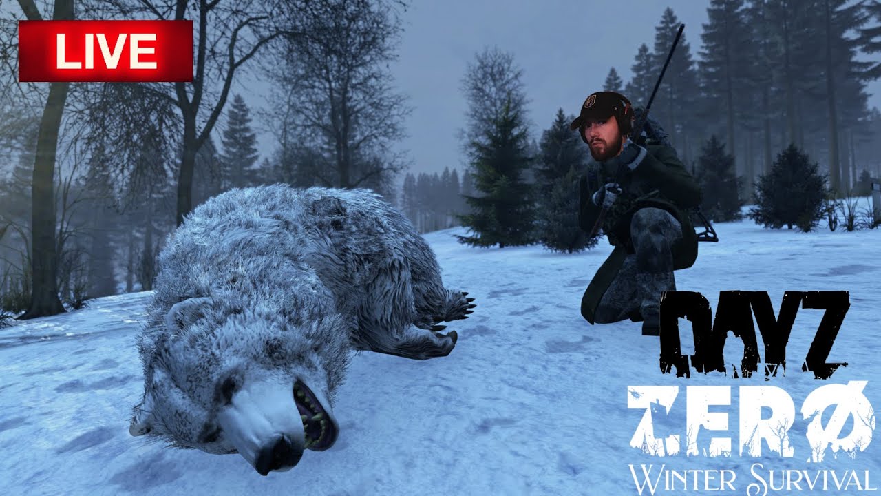 Winter Chernarus - DayZ - LIVE - YouTube