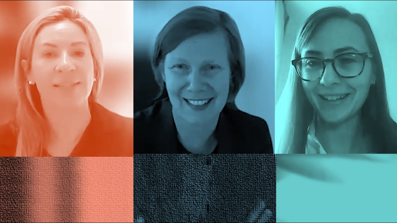 EU Law and Strategic Litigation: Prof. Elaine Fahey, Prof. Sabine ...