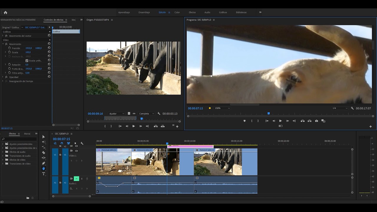 HERRAMIENTAS BÁSICAS DE PREMIERE - YouTube