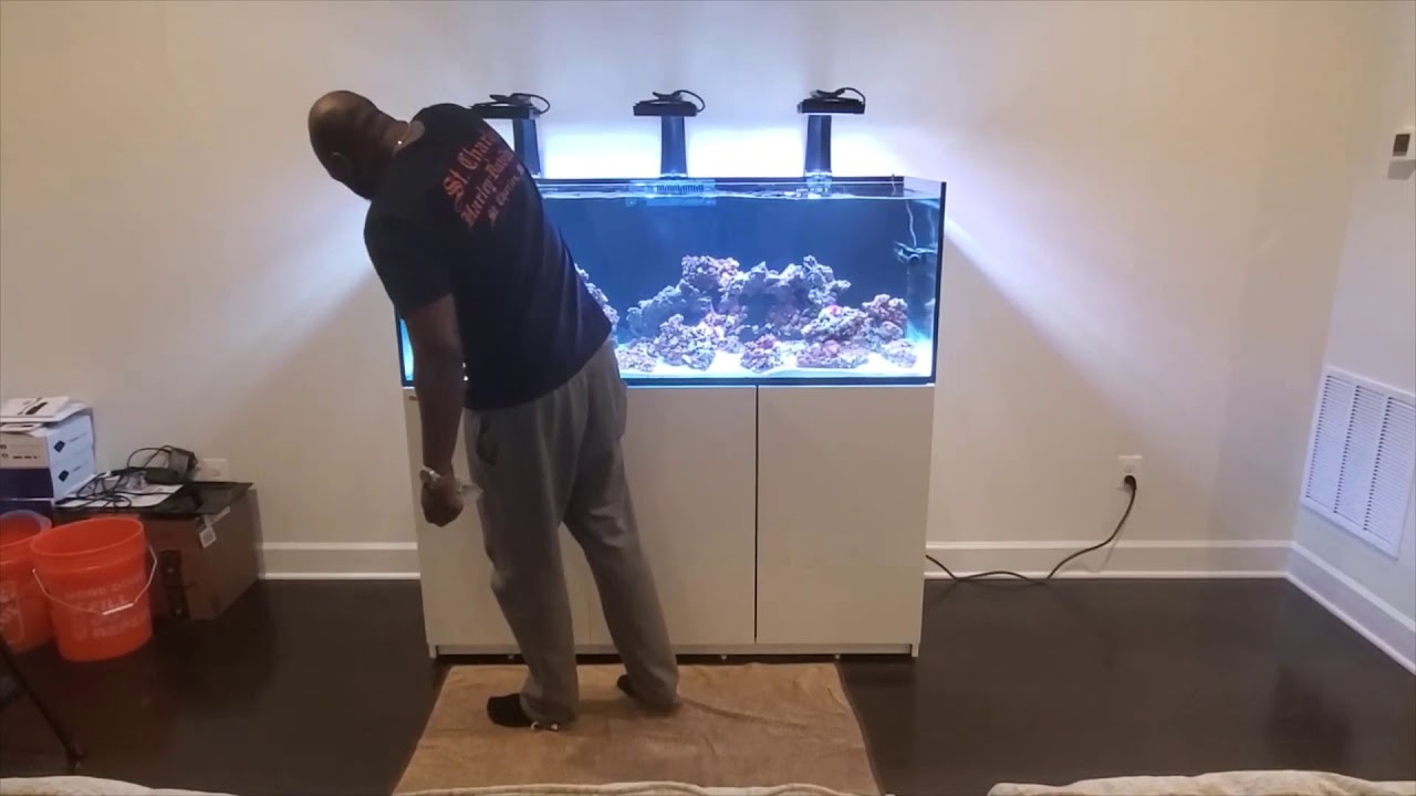 Red Sea Reefer 525xl - Python Algae Mitt - YouTube