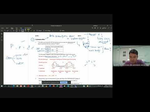 DISCUSSION TUTORIAL CHAPTER 4 GENETIC INHERITANCE PART 2 - YouTube