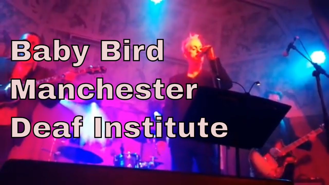 Baby Bird Deaf Institute - YouTube