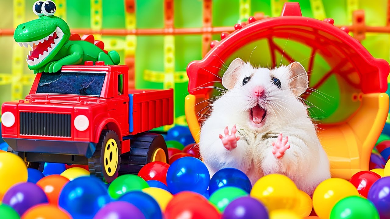 Hamster Prison Escape - Hamster Escapes From The Biggest Ball Maze Ever ...