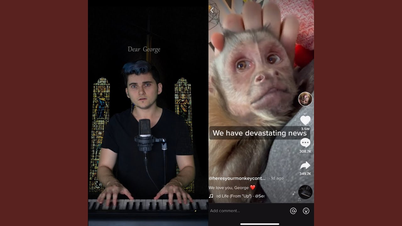 "Dear George" (RIP George the Tiktok Monkey) - YouTube