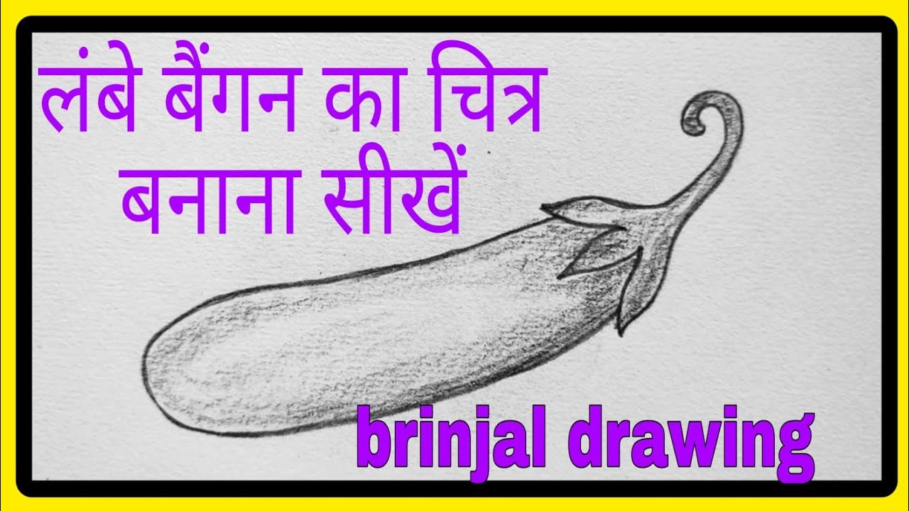 baingan ka Chitra brinjal drawing how to draw brinjal#pencilart लंबे ...