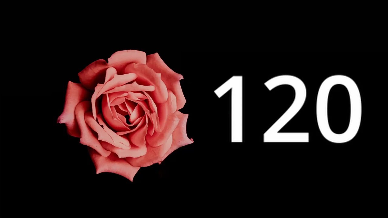 ELEGANT TIMER 120 SECONDS - YouTube