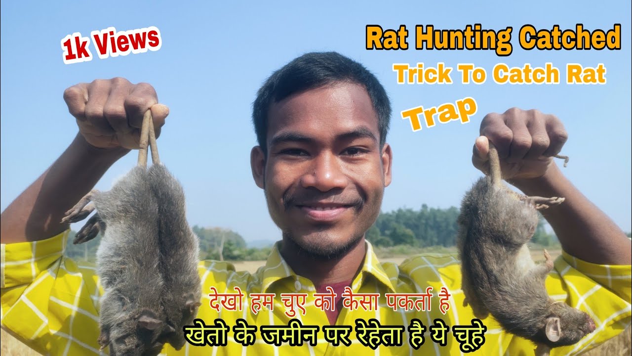 Rat Hunting On Jungle So Delicious 😋 || खेतो में हम चूहे पकड़ने चला हम ...