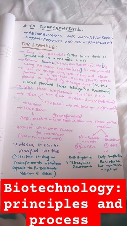 difference btwn:#transformants & Non-transformants/#recombinants & Non-recombinants/ - YouTube