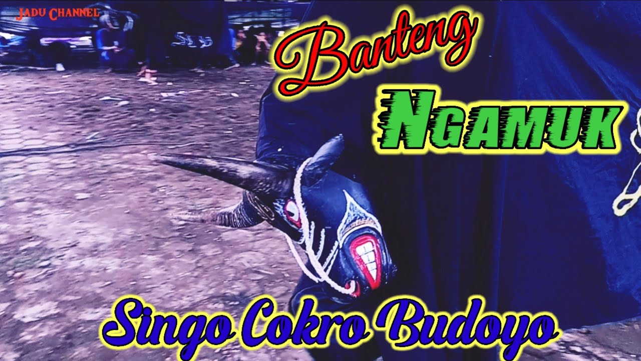 Banteng Ngamuk Singo Cokro Budoyo👹 randusari #jaranan #culture - YouTube