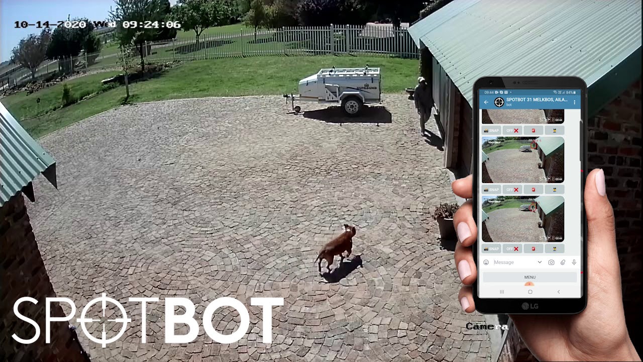 SPOTBOT detection video. - YouTube