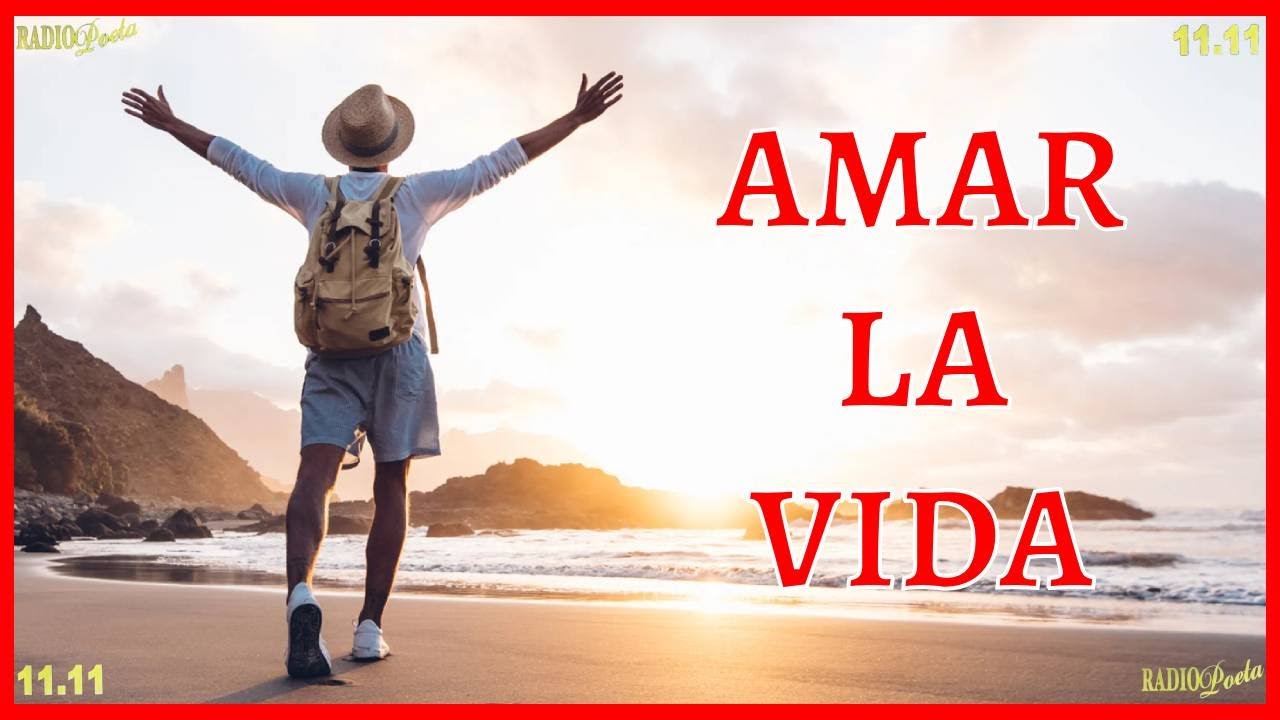 🫂 AMAR LA VIDA 🫂 - YouTube