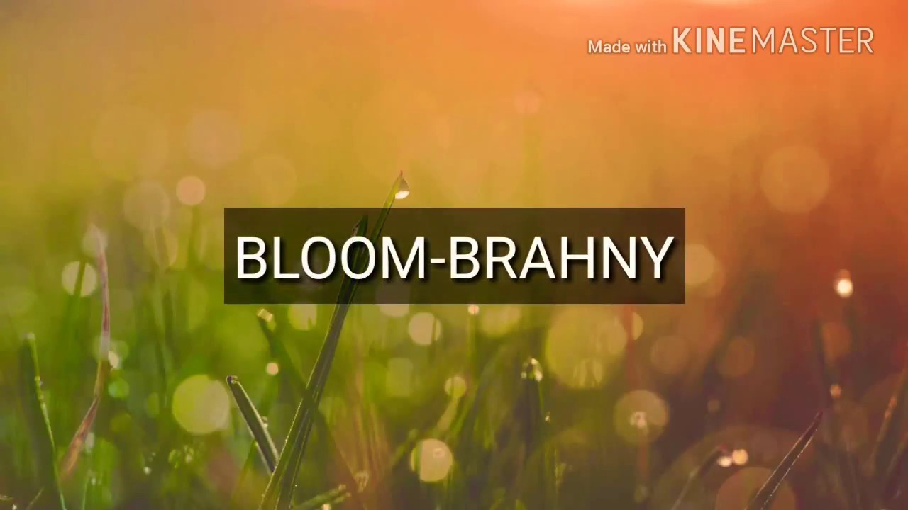 BLOOM-BRAHNY LYRICS - YouTube