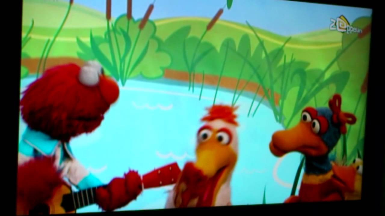Elmo ducks (Hollands) Elmo's eenden - YouTube