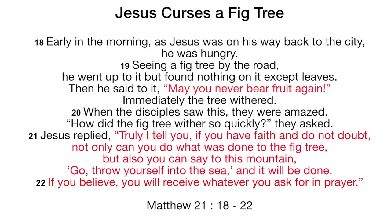 Jesus curses a fig tree - YouTube