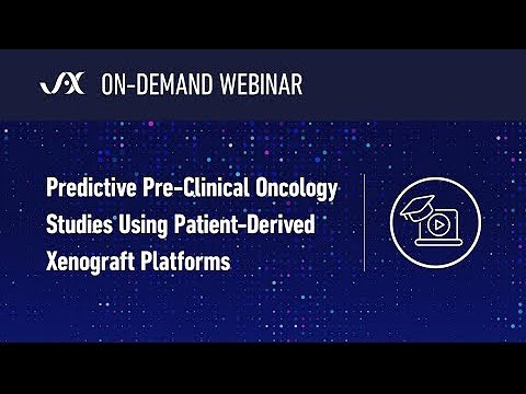 Predictive Pre Clinical Oncology Studies Using Patient-Derived ...