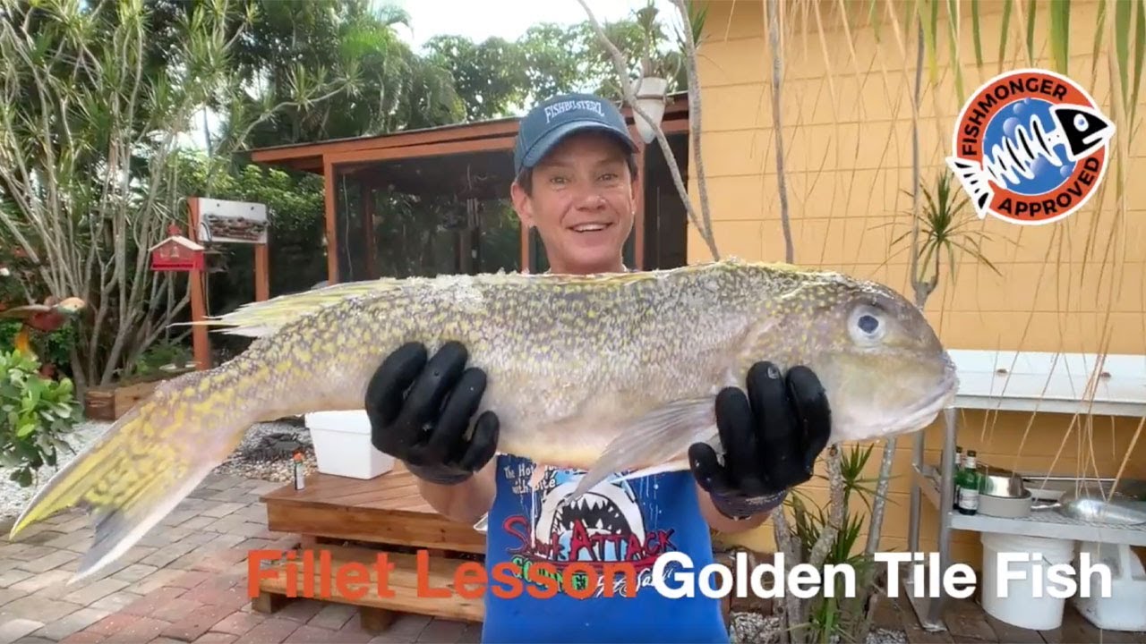 How to Fillet Golden Tile Fish - YouTube