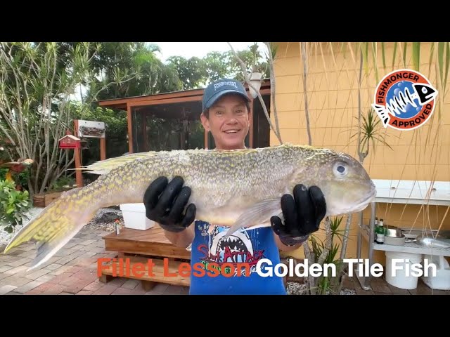 7 Things To Avoid When Filleting Fish | The FINsider
