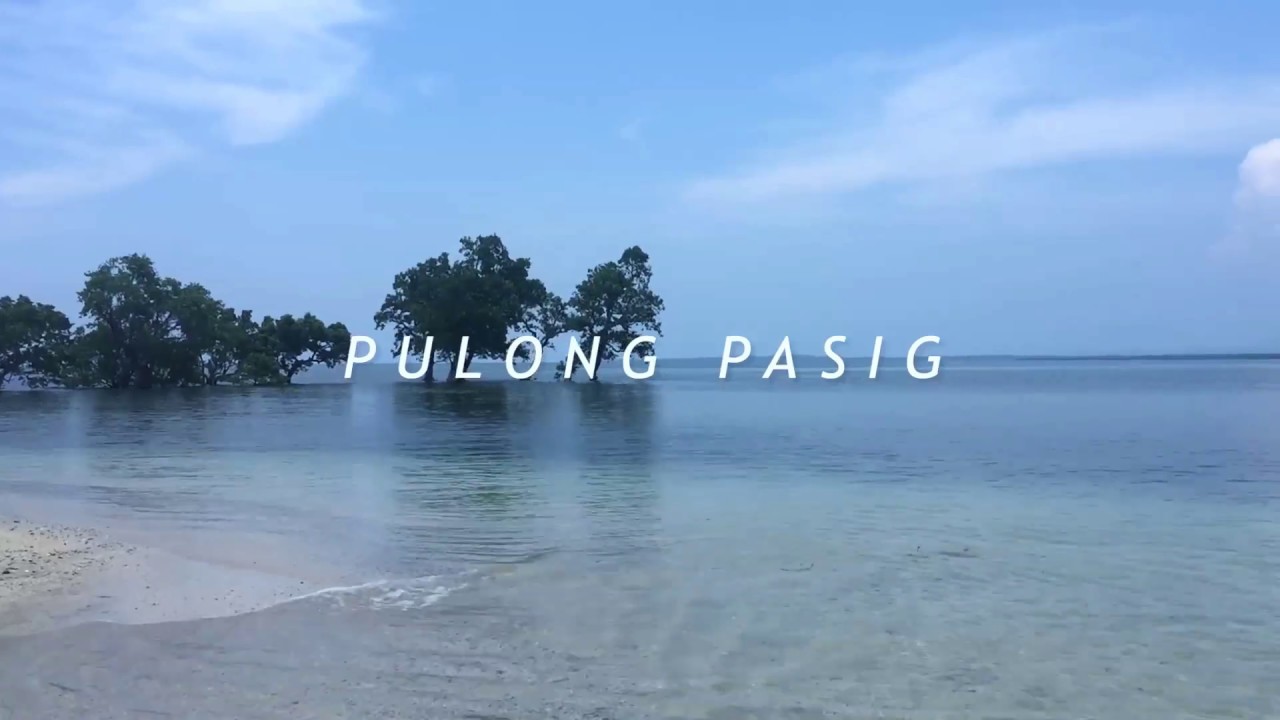 Pulong Pasig Quezon Travel Diary - YouTube