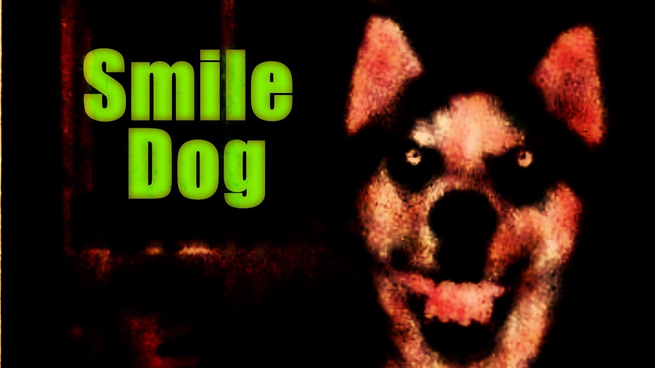 Smile Dog - YouTube