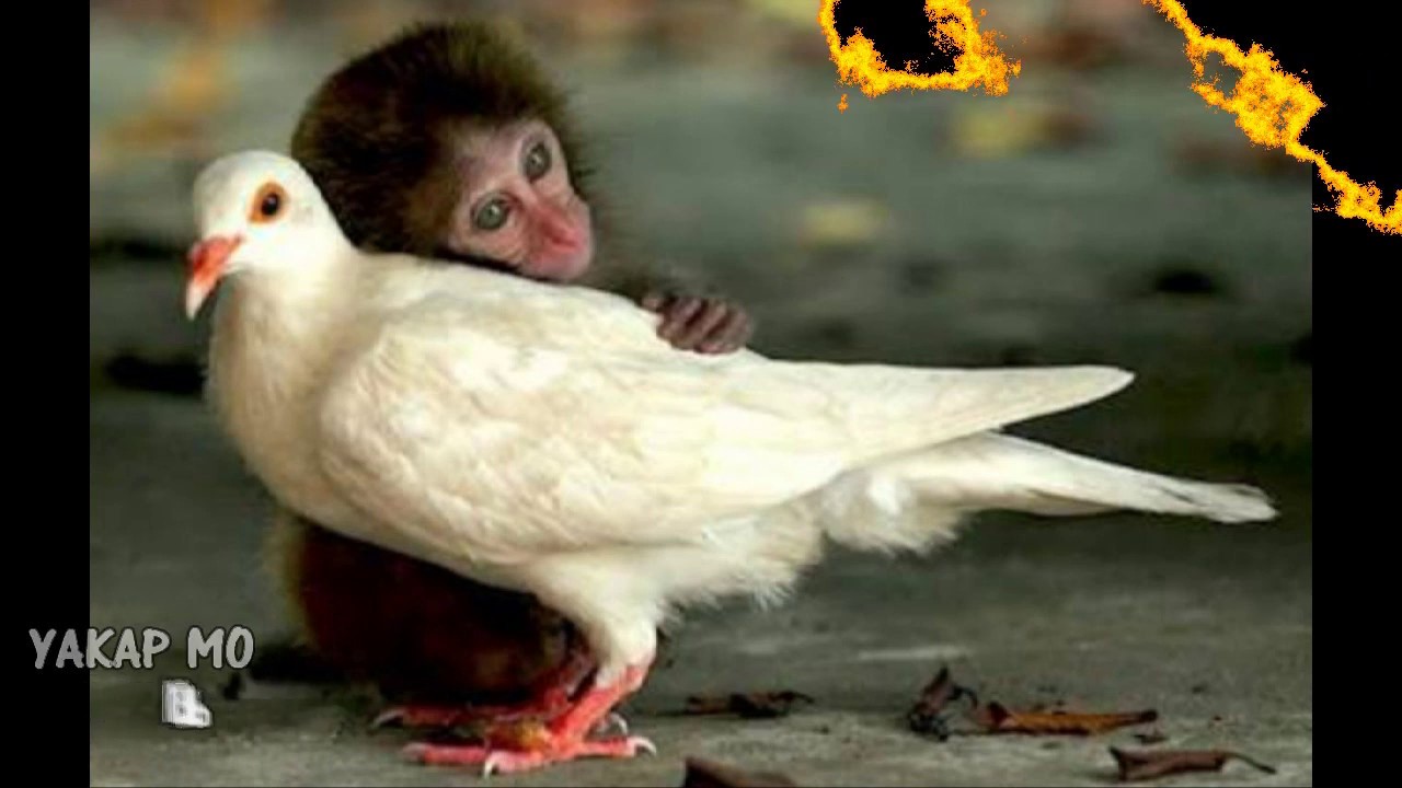 YAKAP MO by Donneil Ebuen - YouTube