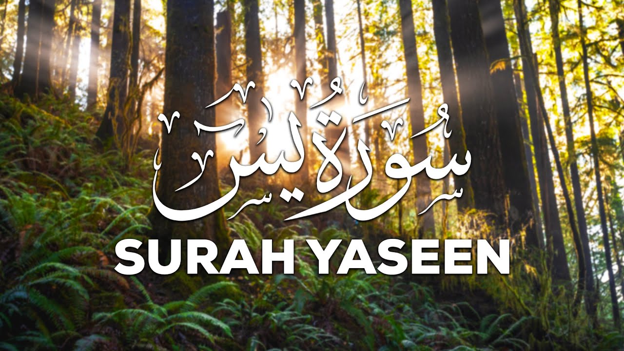 Surah Yasin (Yaseen) || Full HD Arabic Text || 036 - سورۃ یس By Mishary ...