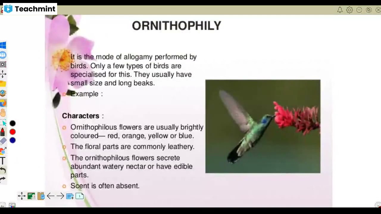 🔴 Ornithophily Chiropterophily Malacophily Myrmecophily Post ...