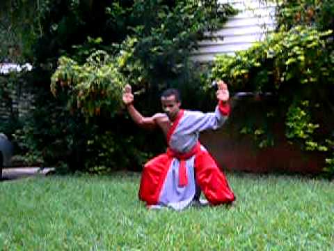 kung fu wisa - YouTube