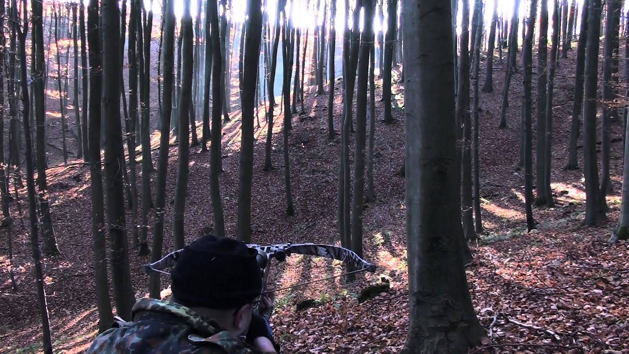 excalibur exomax crossbow, dryfire - YouTube