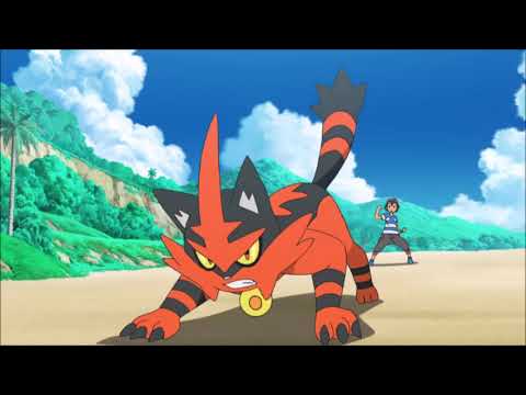 Will Ash's Torracat FINALLY Evolve Into Incineroar? | Pokemon The ...
