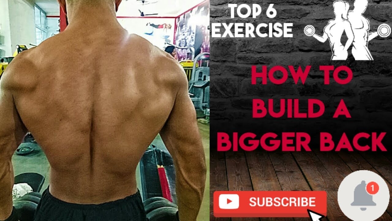 Back Workout For Beginners | Back Workout at Gym - YouTube