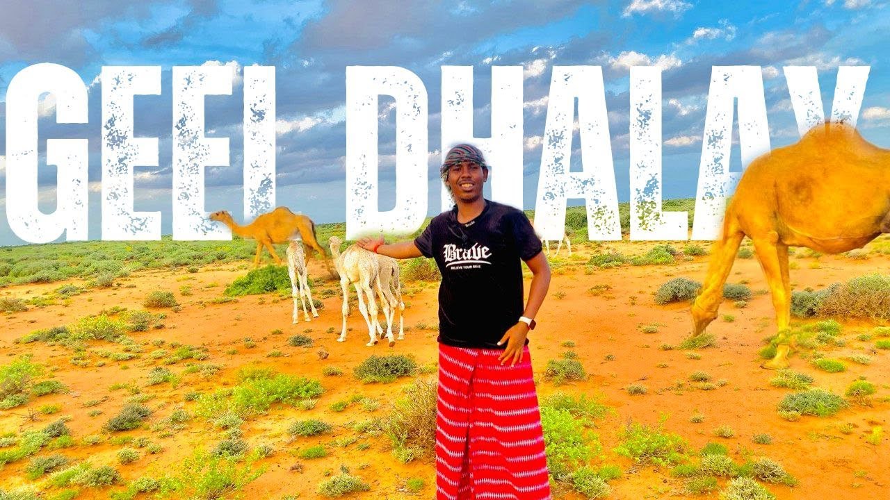 GEEL DHALAY | 50 RAMADA IYO 5O KOODII NIRGOOD - YouTube