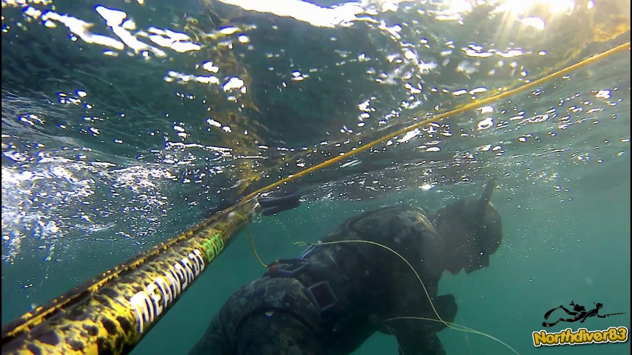 Ψαροντουφεκο (01/ 06 /19) Στην Συναξη Κομοτηνης...spearfishing in ...
