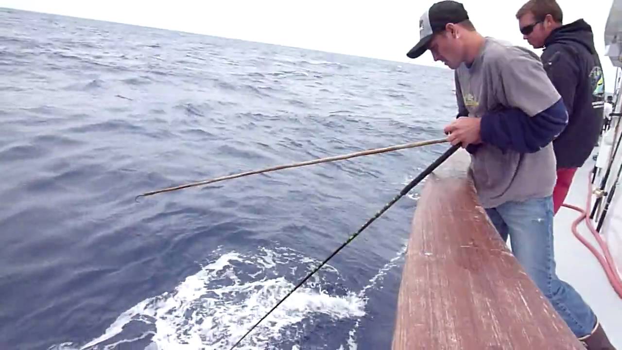 Red Rooster III Tuna Fishing - YouTube